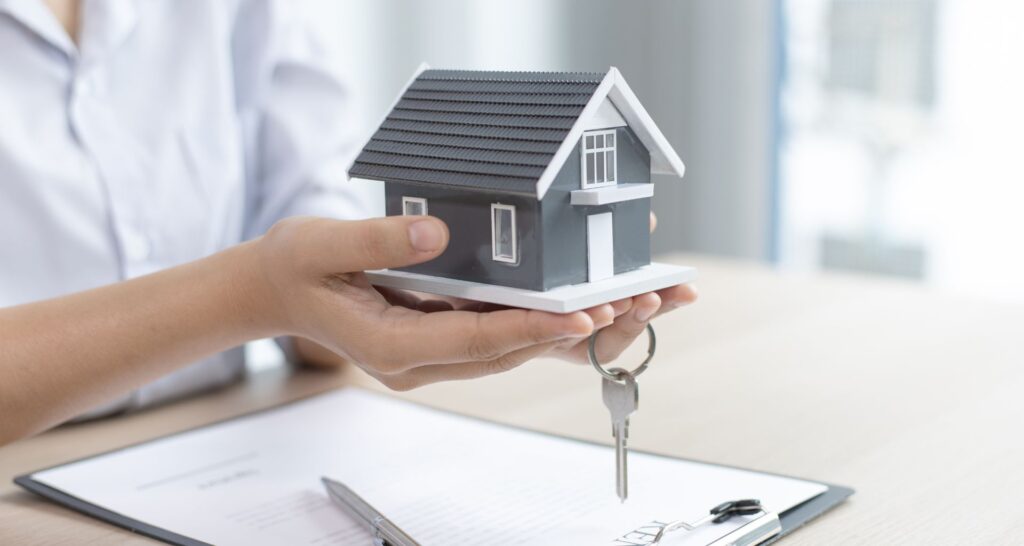 Maple Tree Property Solutions